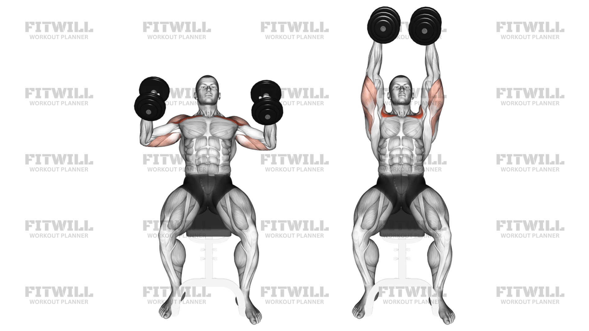 Dumbbell Incline Hammer Press: Exercise Guide, Video, Techniques, Benefits, How to, Muscles ...