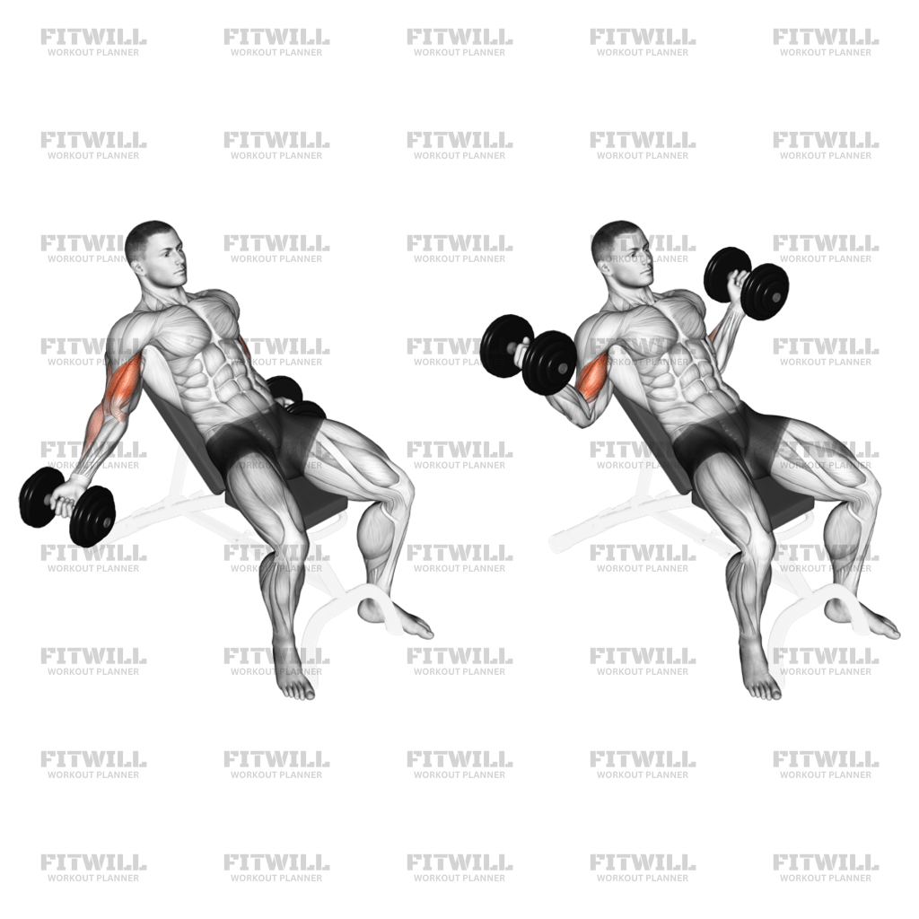 Dumbbell Incline Inner Biceps Curl: Exercise Guide, Video, Techniques ...