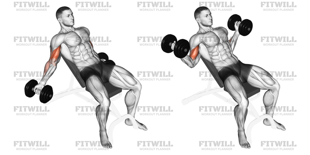 Dumbbell Incline Inner Biceps Curl: Exercise Guide, Video, Techniques ...