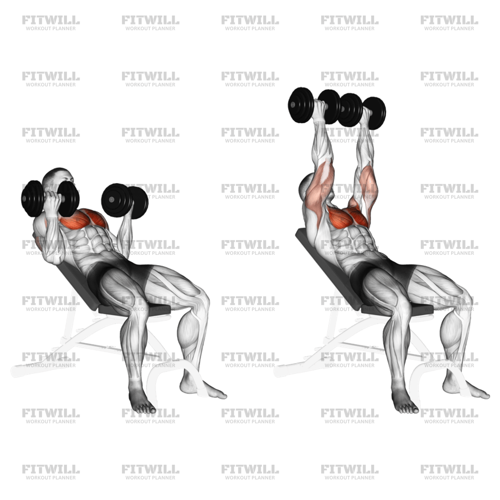 Dumbbell Incline Palm-in Press: Exercise Guide, Video, Techniques, Benefits, How to, Muscles ...