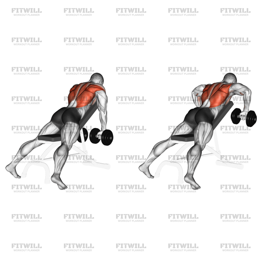 Effective Full Dumbbell Upper Body Workout for Strength and Stability ...