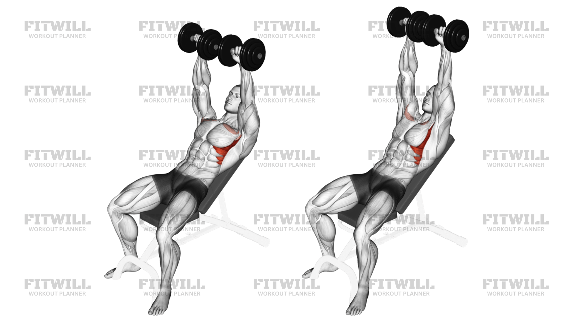 Dumbbell Incline Shoulder Raise: Exercise Guide, Techniques, Benefits ...