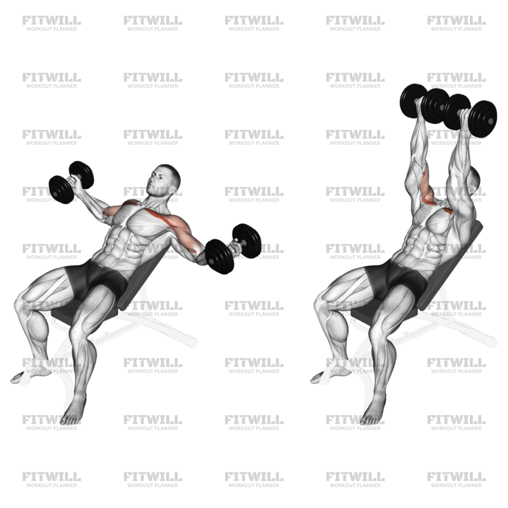Dumbbell Incline Twisted Flyes: Exercise Guide, Video, Techniques ...