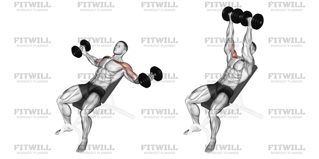 Dumbbell Incline Twisted Flyes: Exercise Guide, Video, Techniques ...