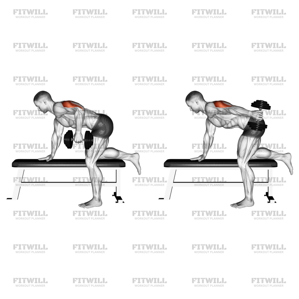 Patada De Tríceps Con Mancuerna: Guía de Ejercicios, Video, Técnicas ...