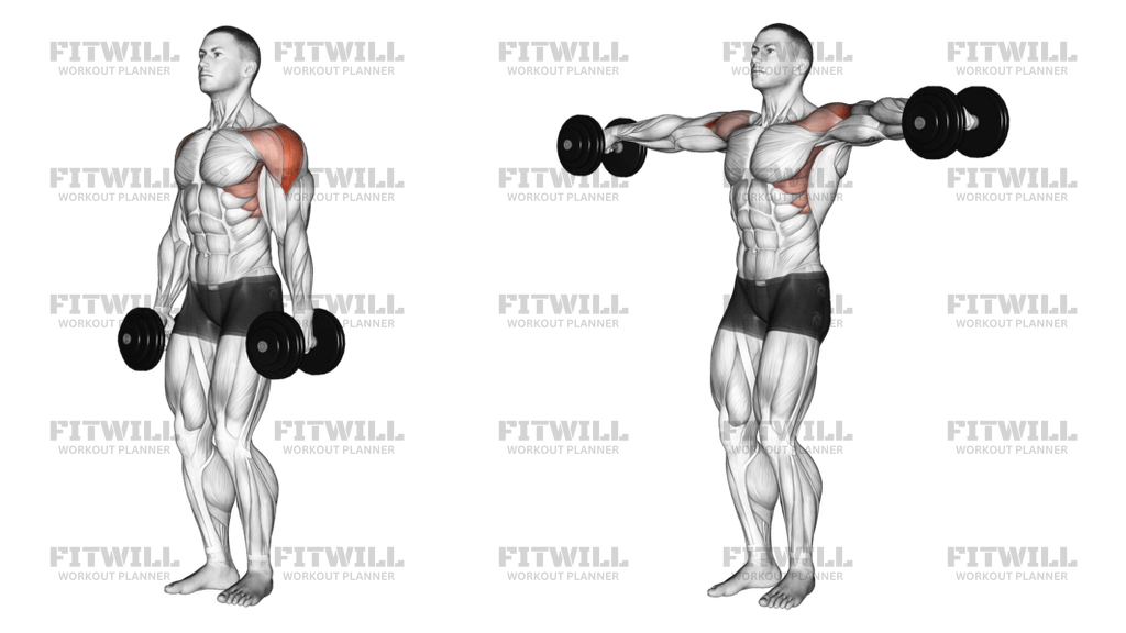 Elevaciones Laterales Con Mancuernas: Guía de Ejercicios, Video ...