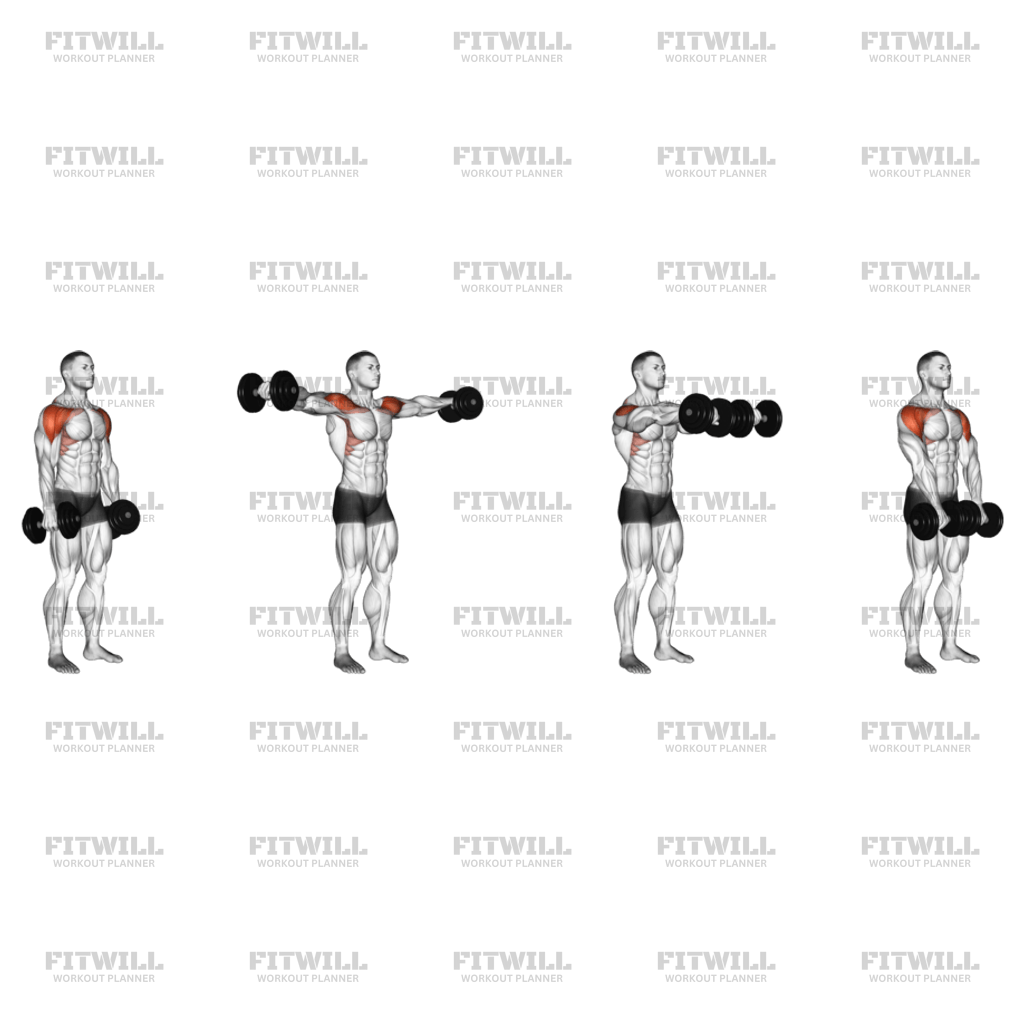 Elevación Lateral A Frontal Con Mancuernas: Guía de Ejercicios, Video ...