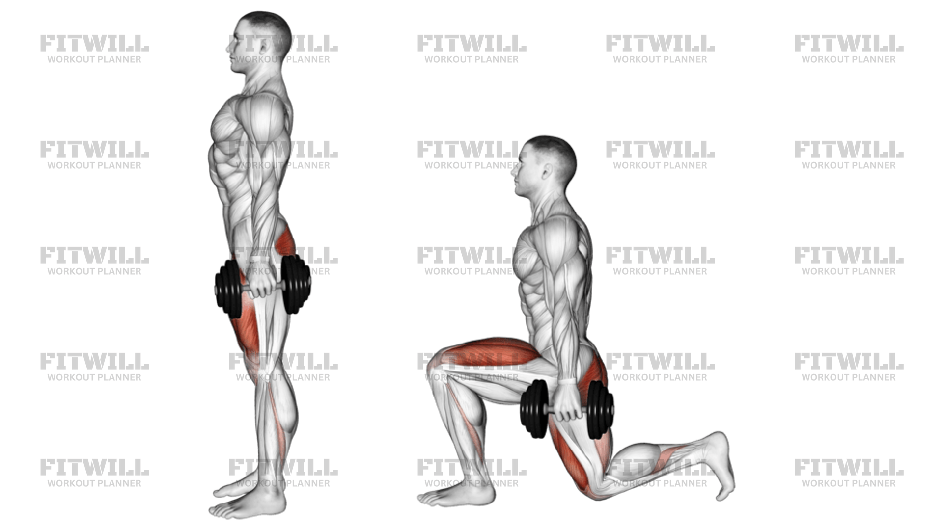 Dumbbell Lunge: Exercise Guide, Video, Techniques, Benefits, How to ...