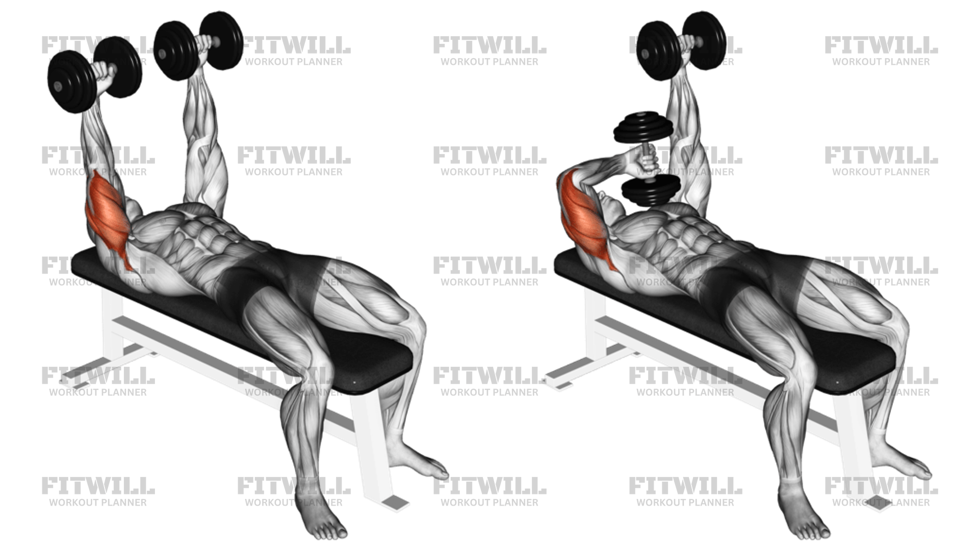 Dumbbell Lying Extension Across Face: Exercise Guide, Video, Techniques ...