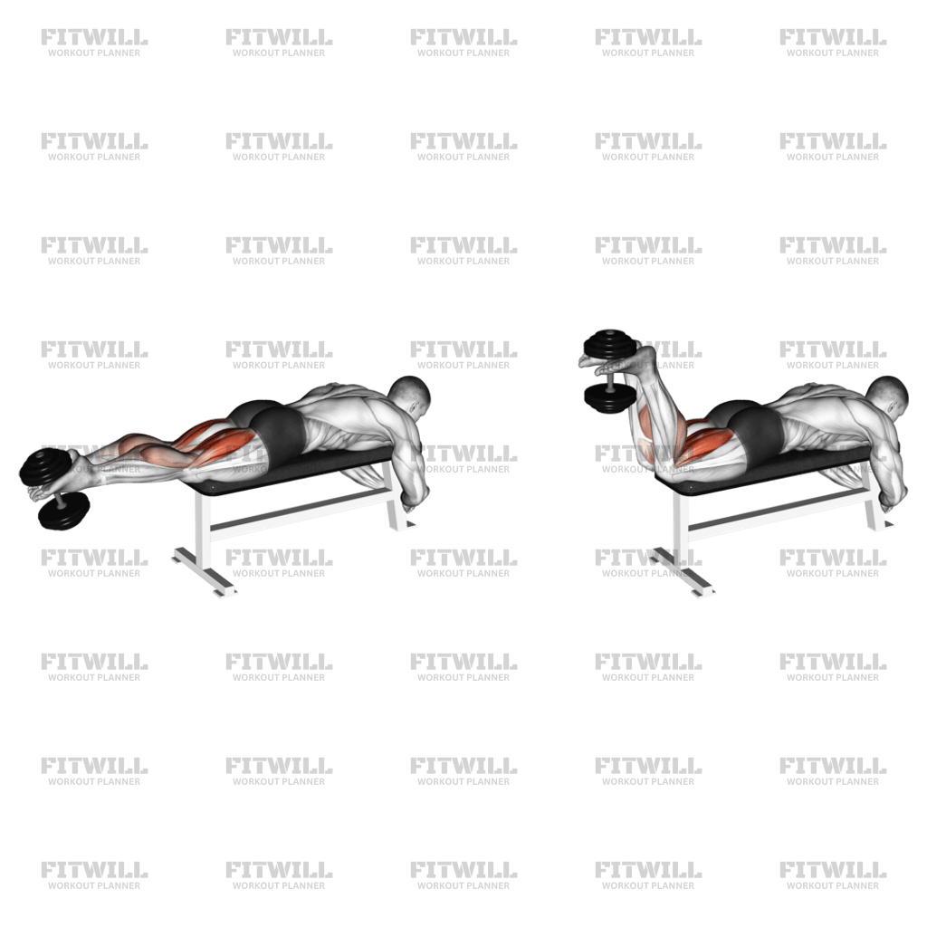 Dumbbell Lying Femoral: Exercise Guide, Video, Techniques, Benefits ...