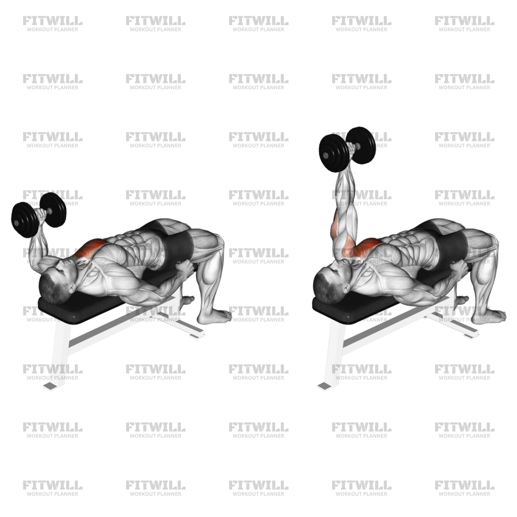 Dumbbell Lying One Arm Press (version 2): Exercise Guide, Techniques ...