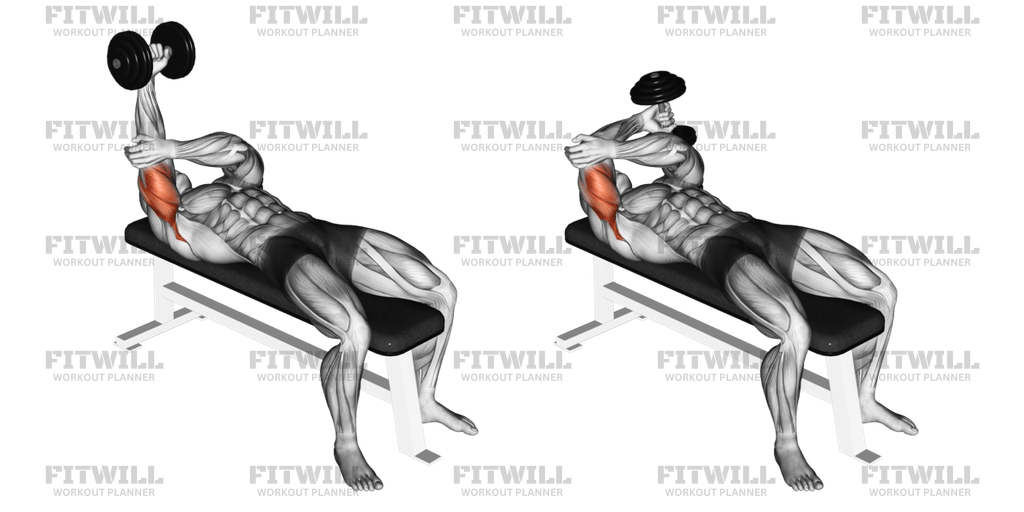 Dumbbell Lying One Arm Pronated Triceps Extension: Exercise Guide ...