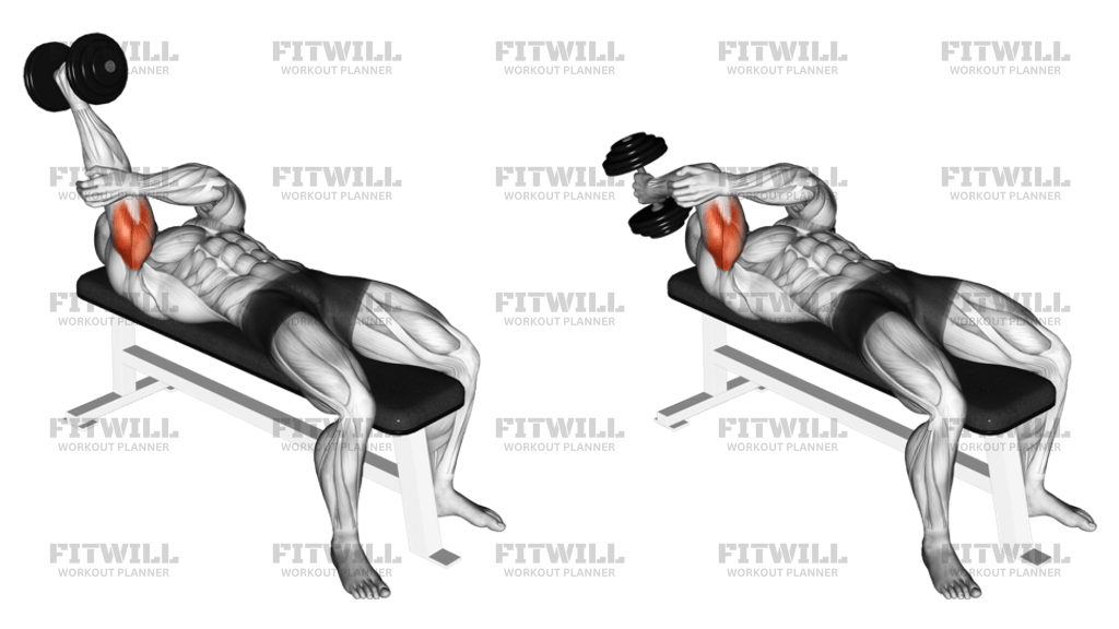 Dumbbell Lying One Arm Supinated Triceps Extension: Exercise Guide ...