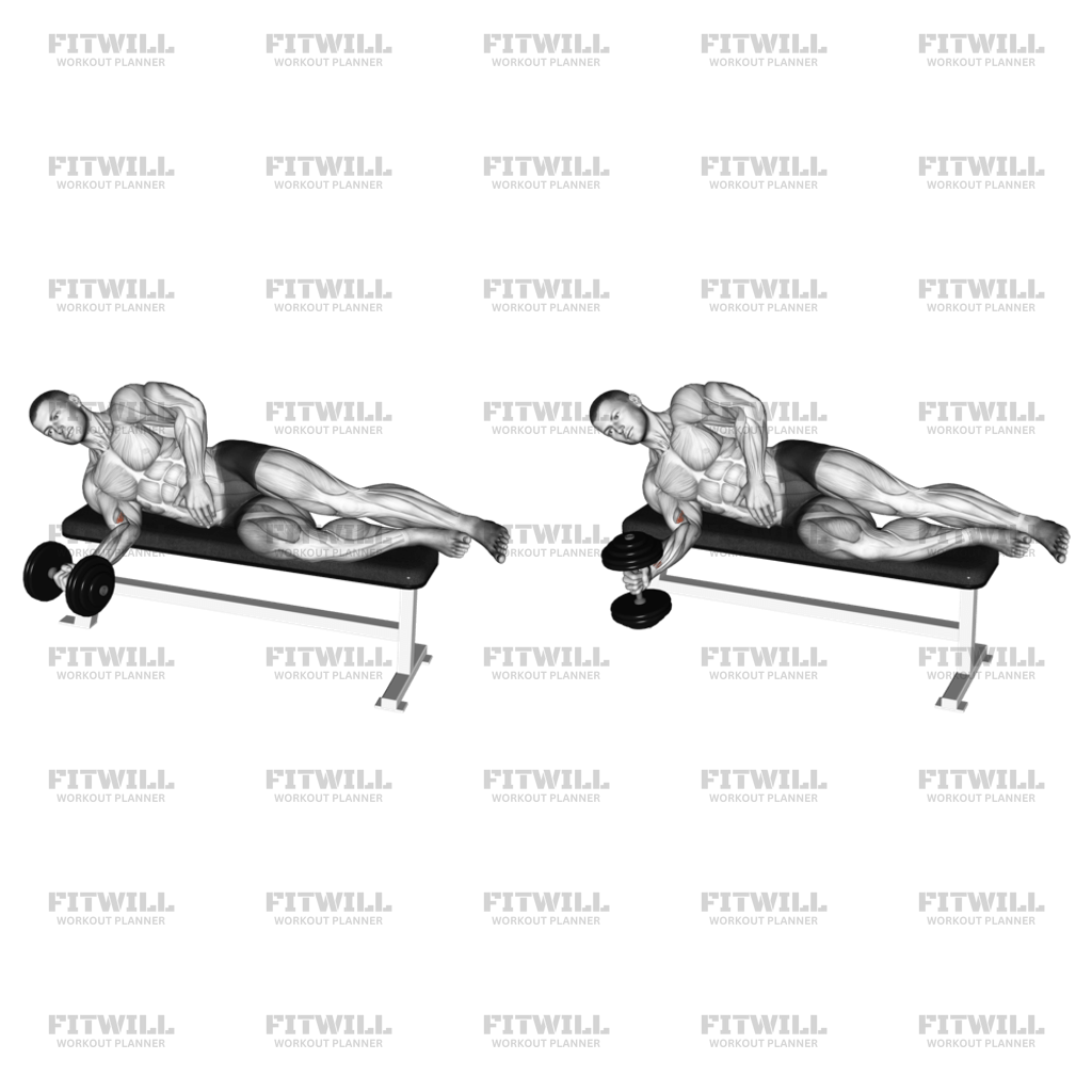 Dumbbell Lying Pronation: Exercise Guide, Techniques, Benefits, How to ...