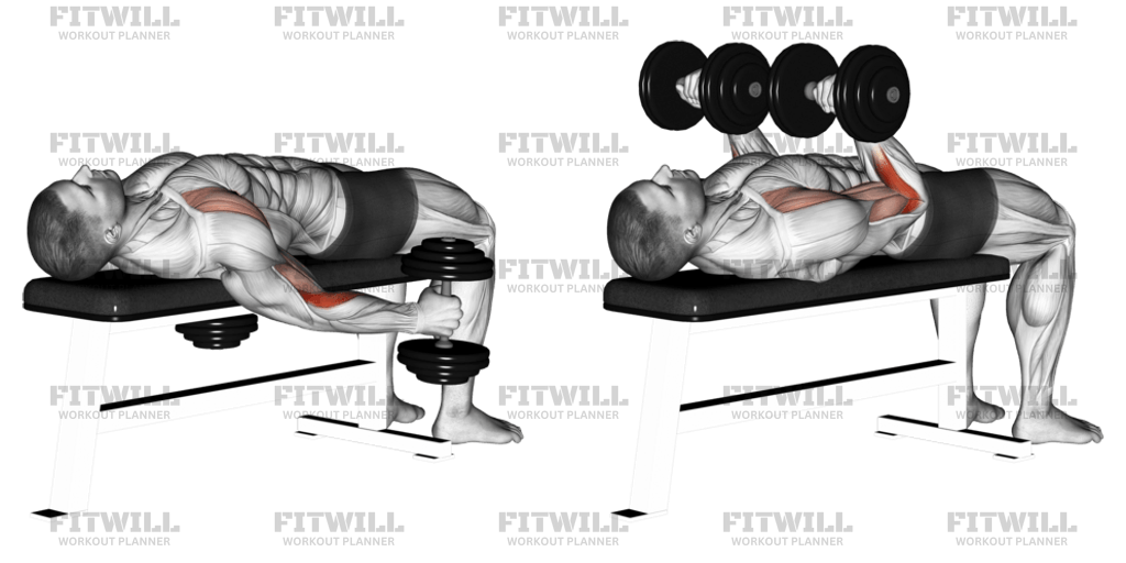 Dumbbell Lying Supine Curl: Exercise Guide, Video, Techniques, Benefits ...