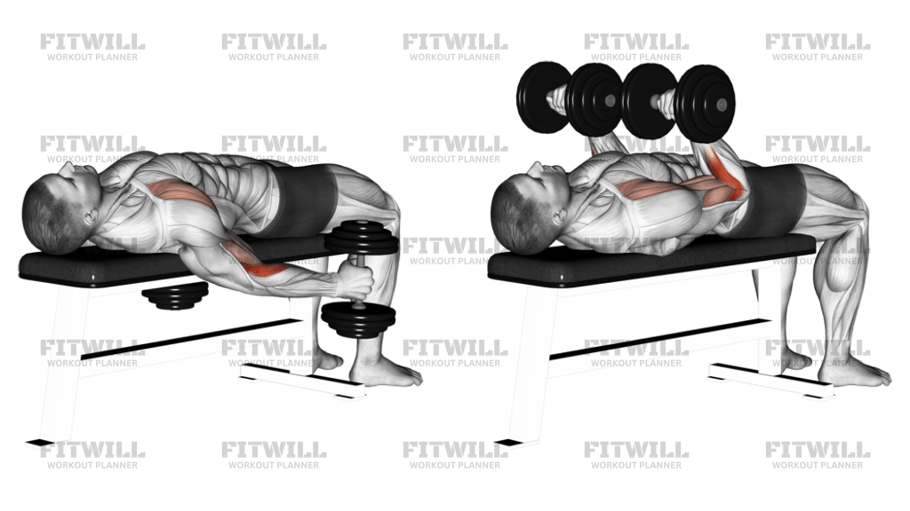 Dumbbell Lying Supine Curl: Exercise Guide, Video, Techniques, Benefits, How to, Muscles Worked ...