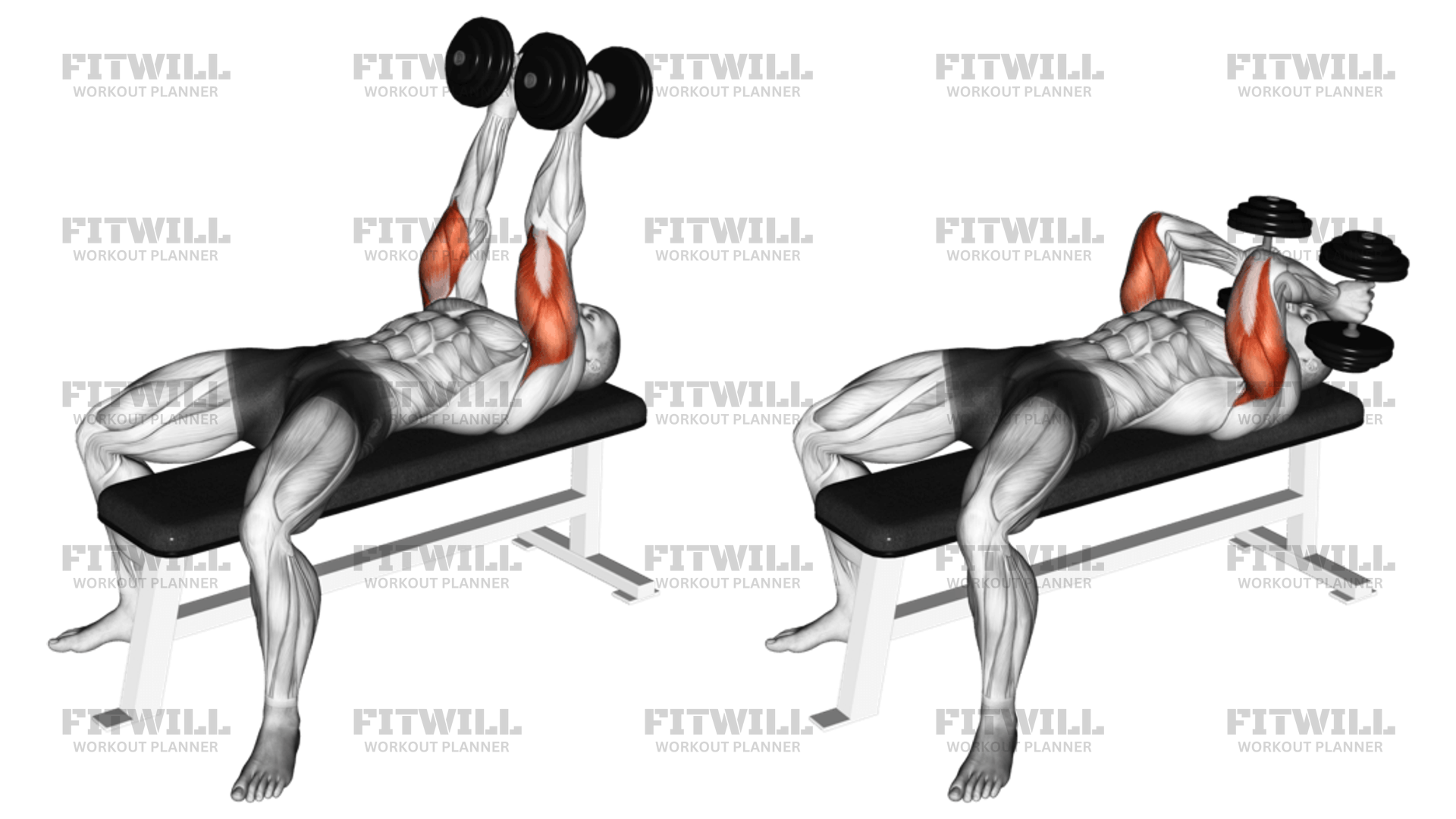 Dumbbell Lying Triceps Extension: Exercise Guide, Techniques, Benefits, How to, Muscles Worked ...