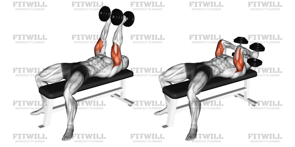 Dumbbell Lying Triceps Extension: Exercise Guide, Techniques, Benefits ...