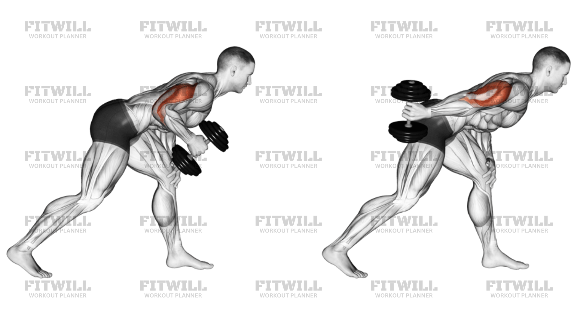 Dumbbell One Arm Kickback: Exercise Guide, Video, Techniques, Benefits ...