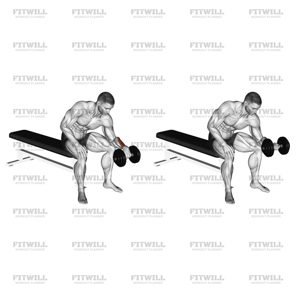 Dumbbell One Arm Revers Wrist Curl: Exercise Guide, Video, Techniques, Benefits, How to, Muscles ...