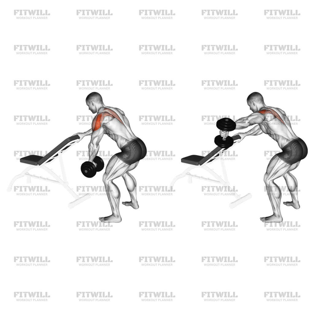 Dumbbell One Arm Reverse Fly (with support): Guide, Techniques ...