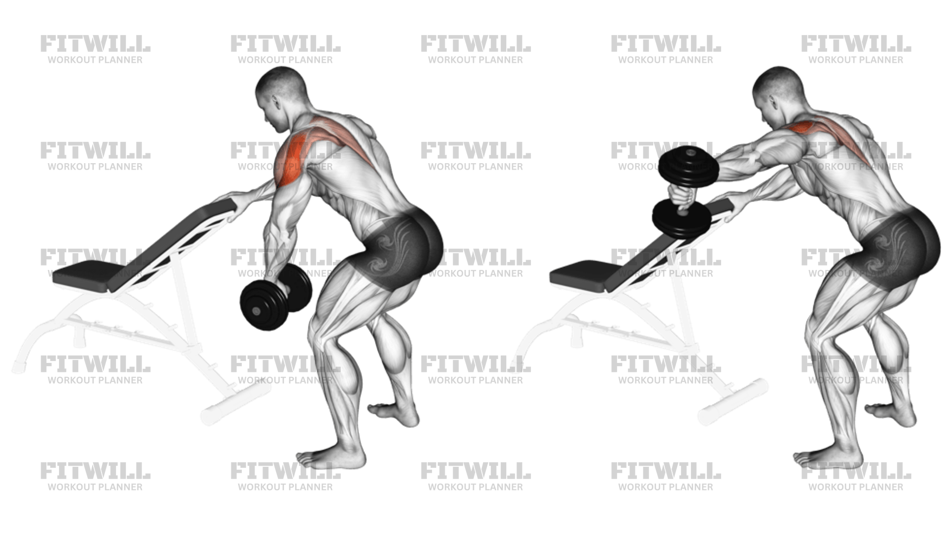 Dumbbell One Arm Reverse Fly (with Support): Exercise Guide, Techniques ...
