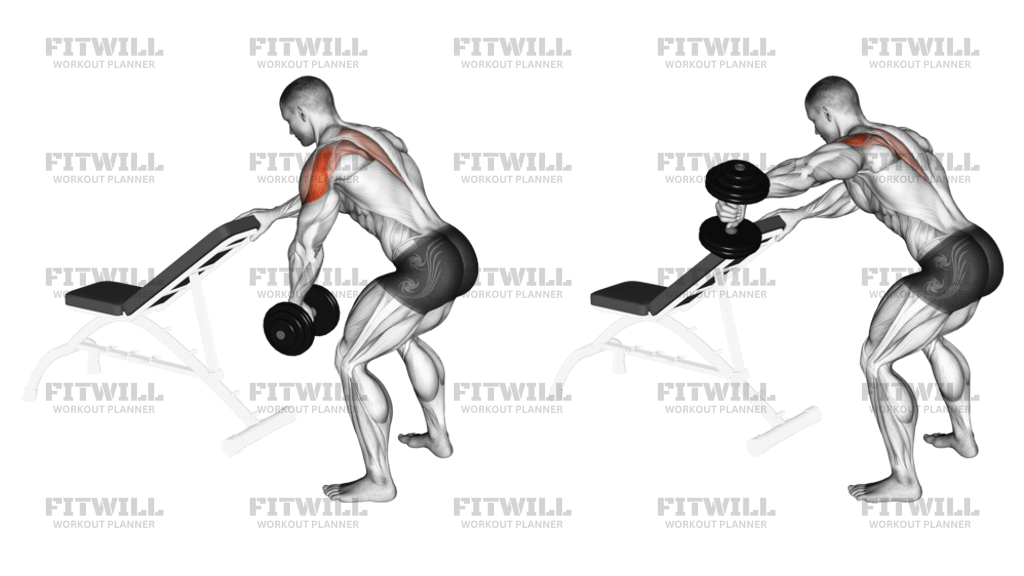 Dumbbell One Arm Reverse Fly (with Support): Exercise Guide, Techniques ...
