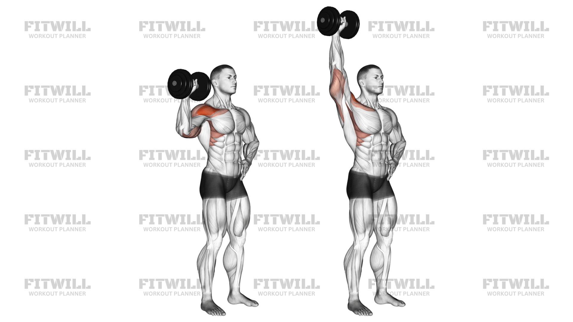 Dumbbell One Arm Shoulder Press: Exercise Guide, Video, Techniques ...
