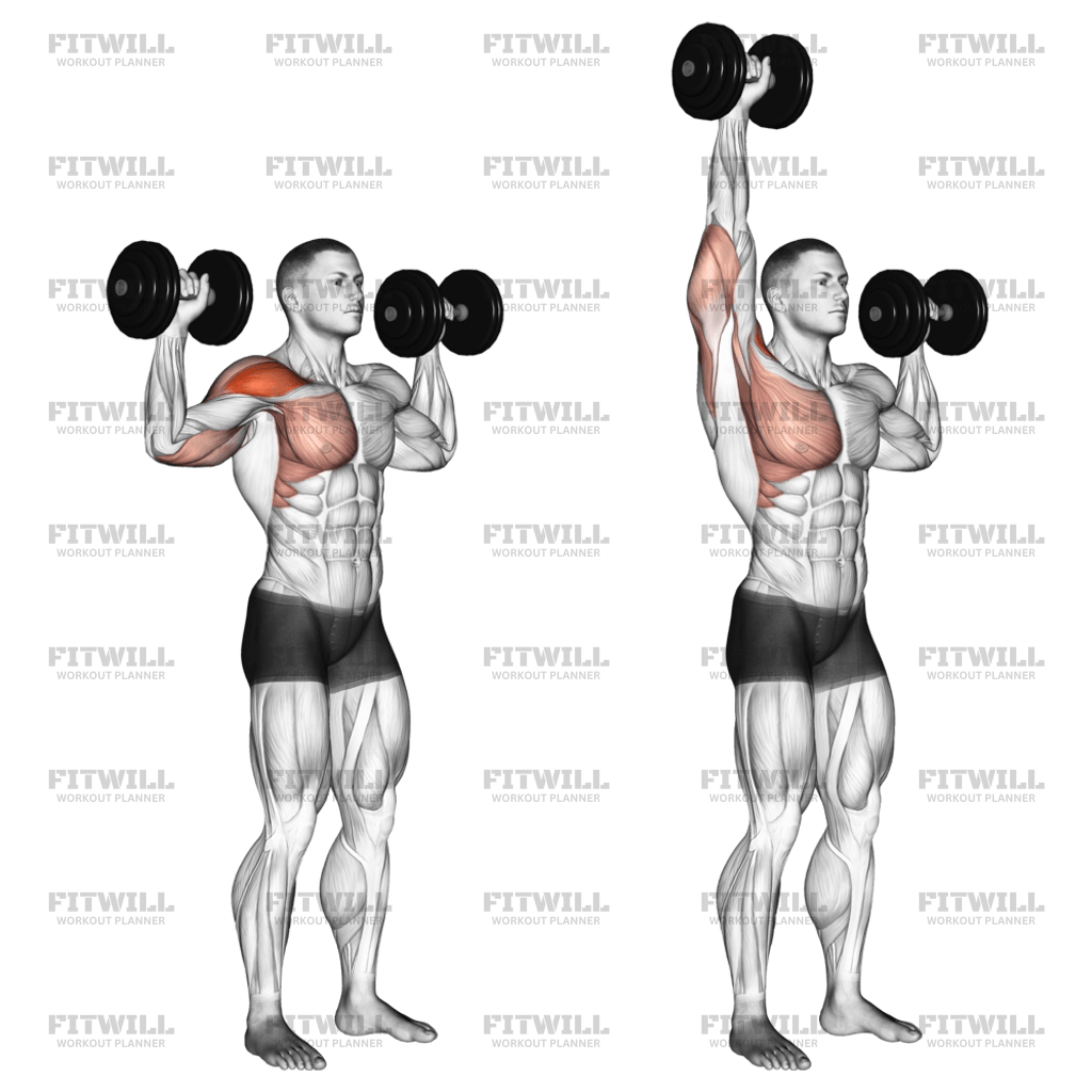 Dumbbell One Arm Shoulder Press: Exercise Guide, Techniques, Benefits ...