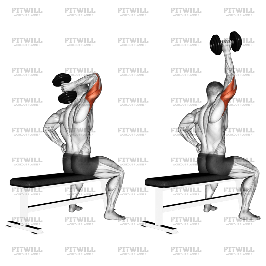 Dumbbell One Arm Triceps Extension (L): Exercise Guide, Video ...