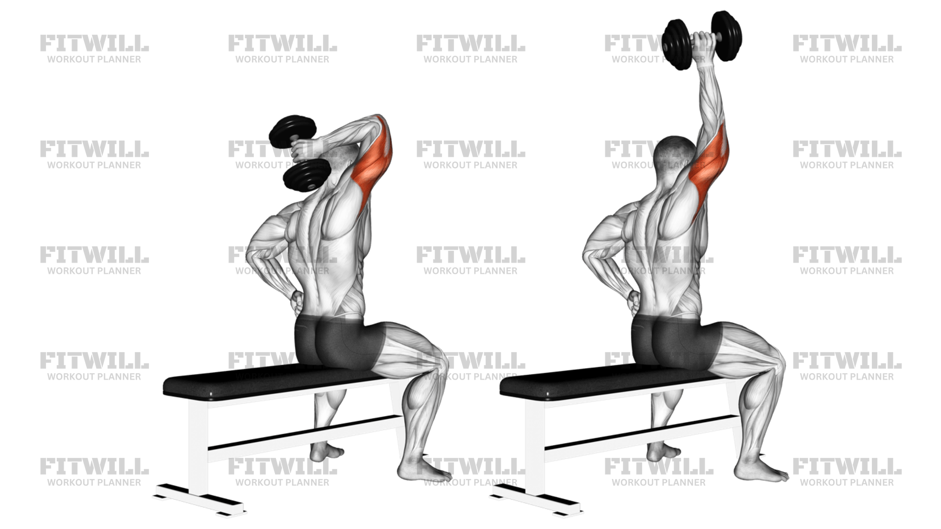 Dumbbell One Arm Triceps Extension (L): Exercise Guide, Video ...