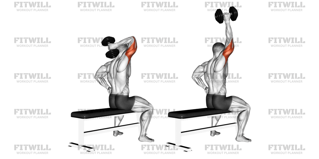 Dumbbell One Arm Triceps Extension (L): Exercise Guide, Video ...