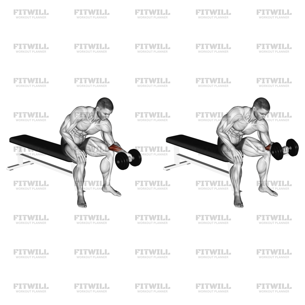 Dumbbell One-Arm Wrist Curl: Exercise Guide, Video, Techniques ...