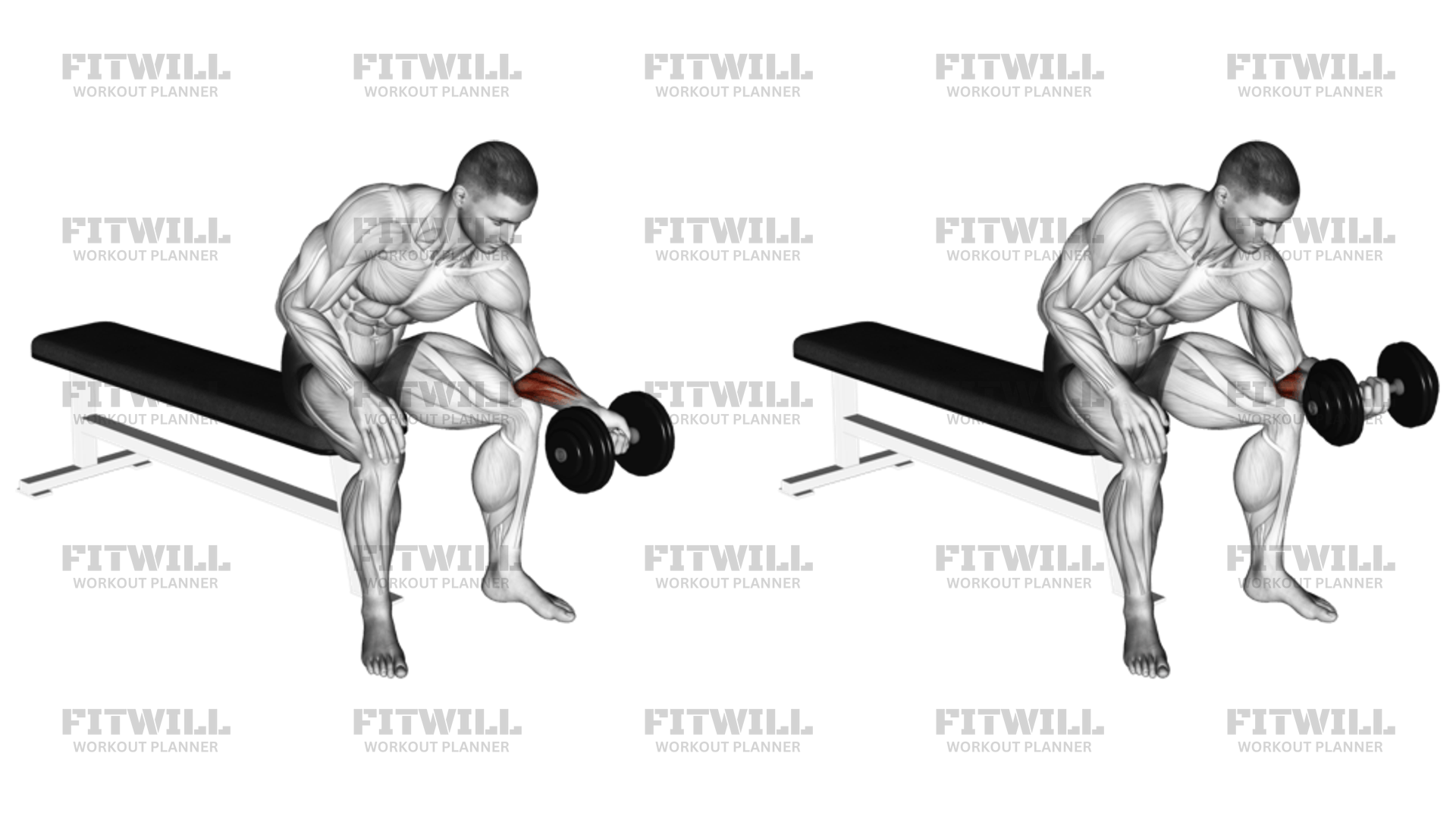 Dumbbell One-Arm Wrist Curl: Exercise Guide, Video, Techniques ...
