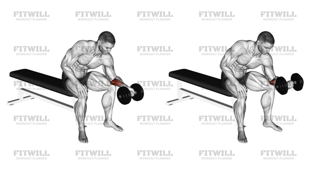Dumbbell One-Arm Wrist Curl: Exercise Guide, Video, Techniques ...