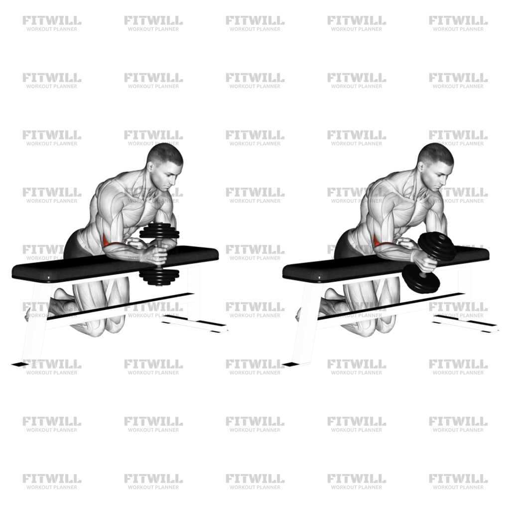 Dumbbell Over Bench One Arm Neutral Wrist Curl: Exercise Guide ...
