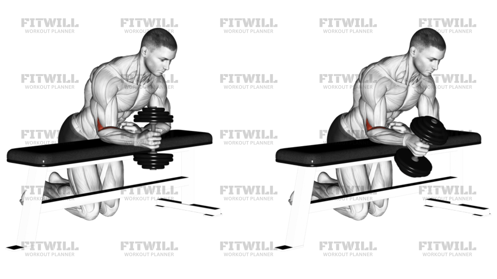 Dumbbell Over Bench One Arm Neutral Wrist Curl: Exercise Guide ...