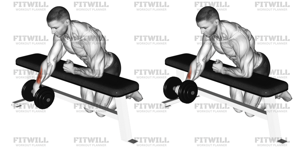 Dumbbell Over Bench One Arm Wrist Curl: Exercise Guide, Techniques ...
