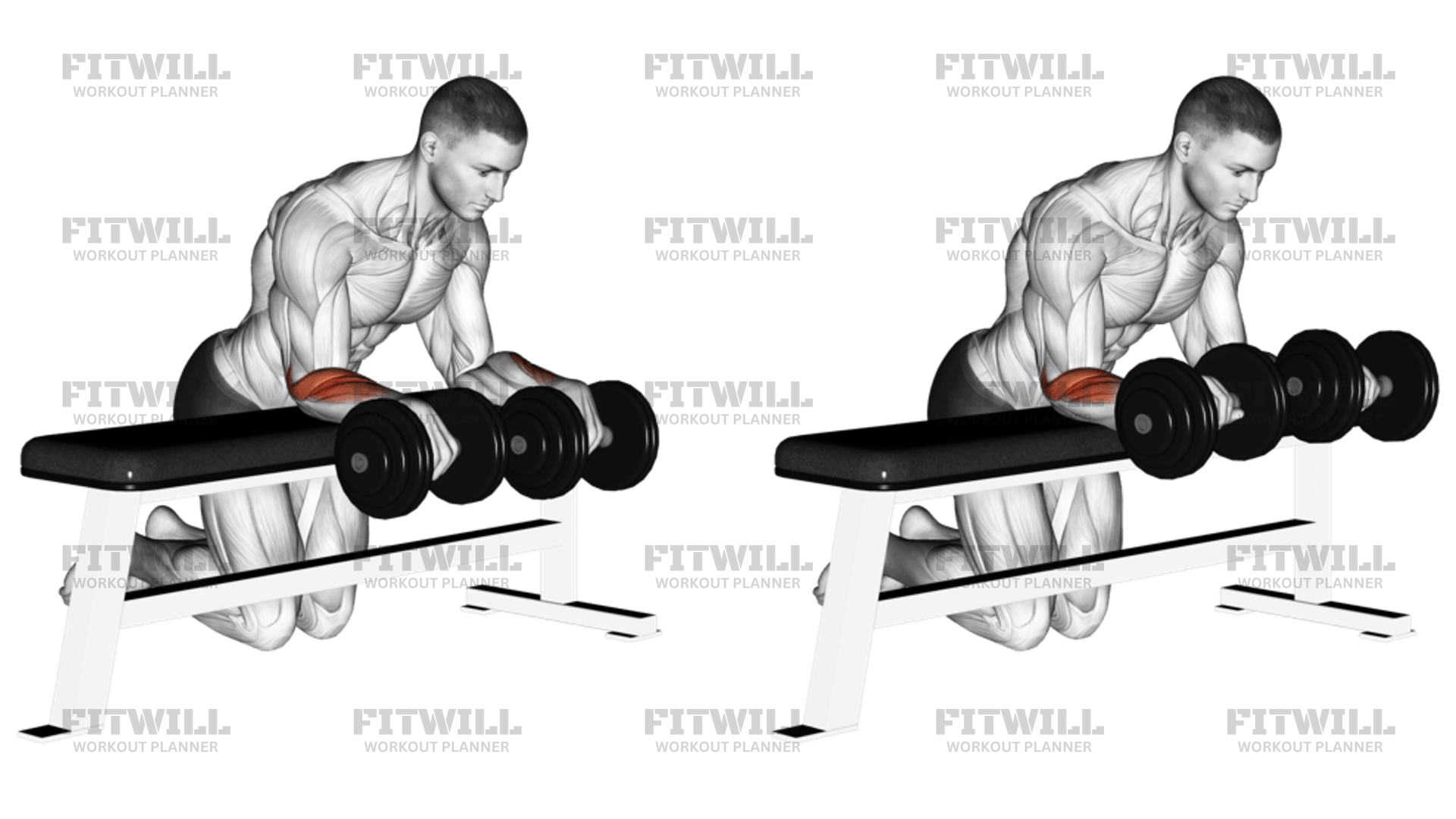 Dumbbell Over Bench Wrist Curl: Exercise Guide, Video, Techniques ...