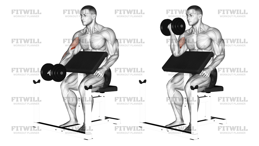 One Arm Dumbbell Preacher Curl: Exercise Guide, Video, Techniques, Benefits, How to, Muscles ...