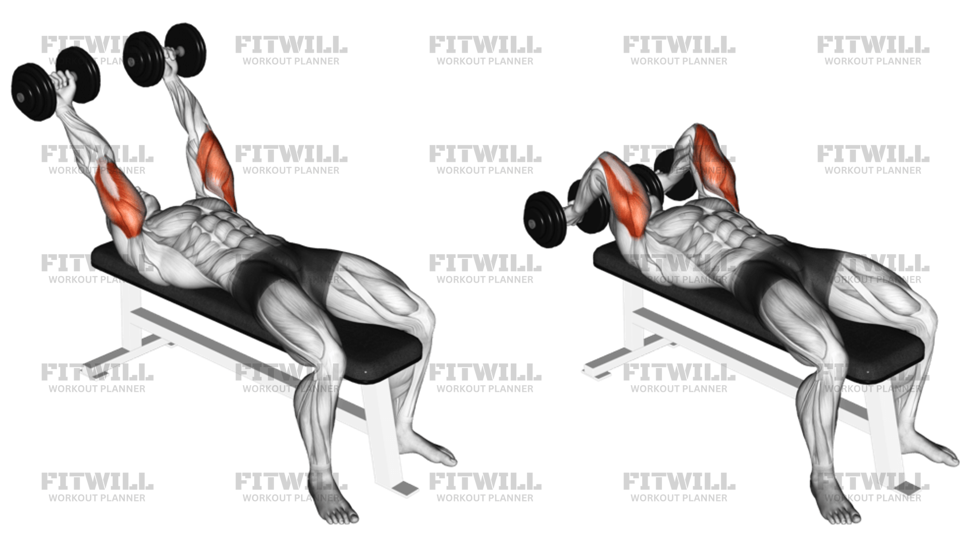Extensión De Tríceps Con Mancuerna Y Agarre Pronado: Guía de Ejercicios ...