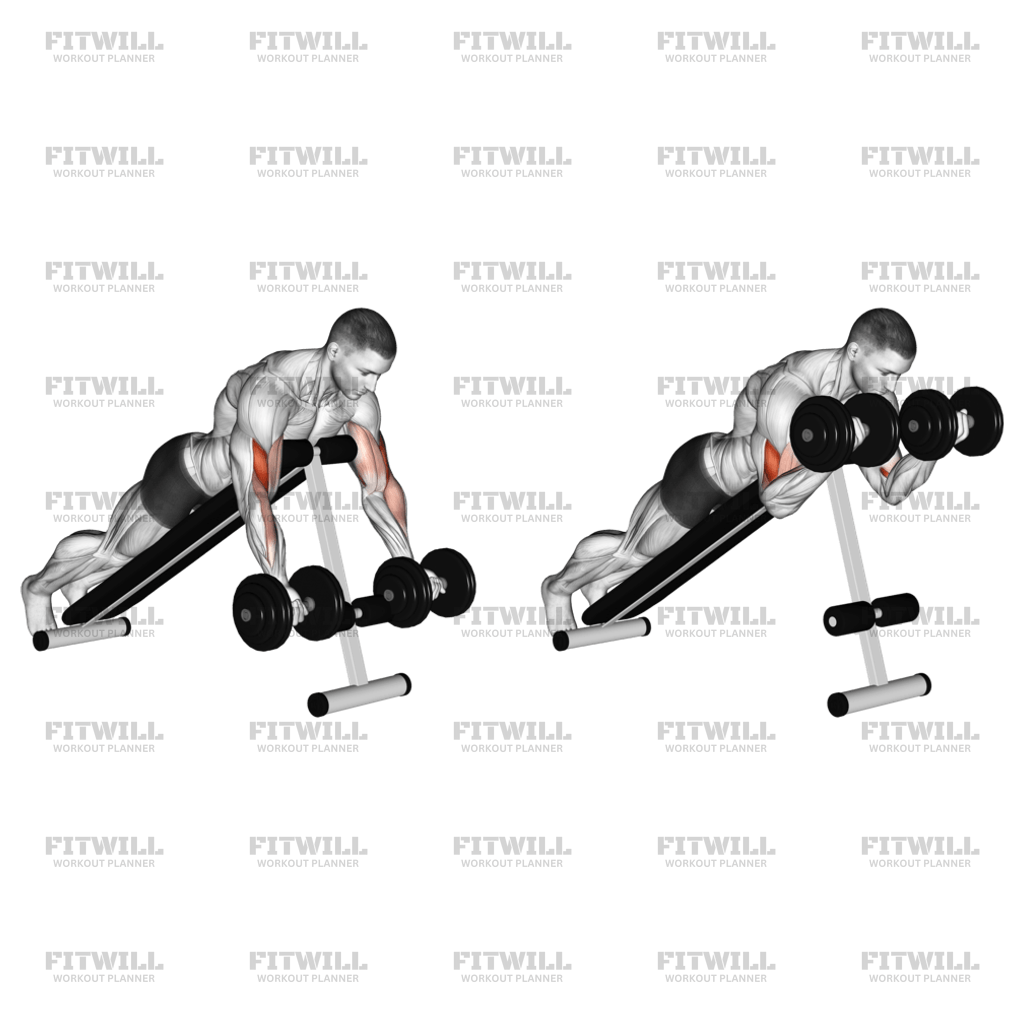 Dumbbell Prone Incline Curl: Exercise Guide, Video, Techniques ...