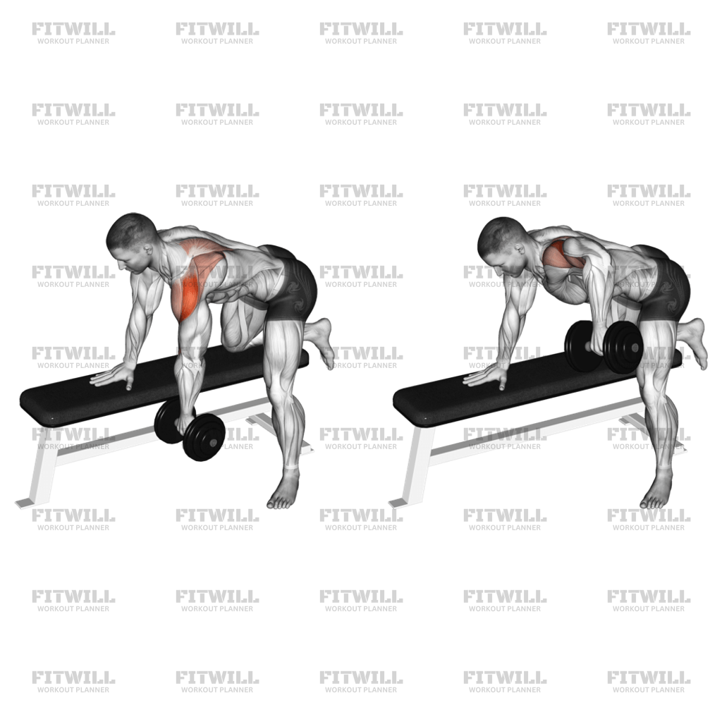 Remo Con Mancuernas Para Deltoides Posteriores: Guía de Ejercicios ...