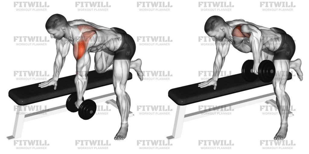 Dumbbell Rear Delt Row: Exercise Guide, Video, Techniques, Benefits ...