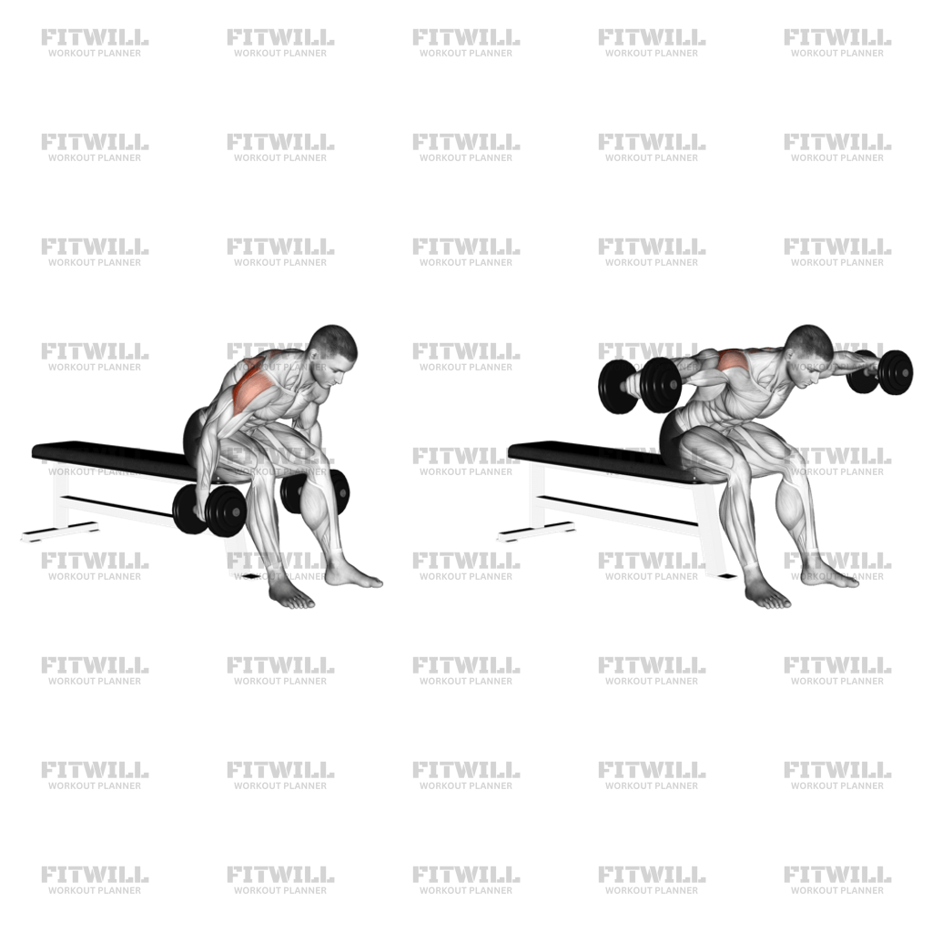 Dumbbell Rear Fly: Exercise Guide, Video, Techniques, Benefits, How to ...