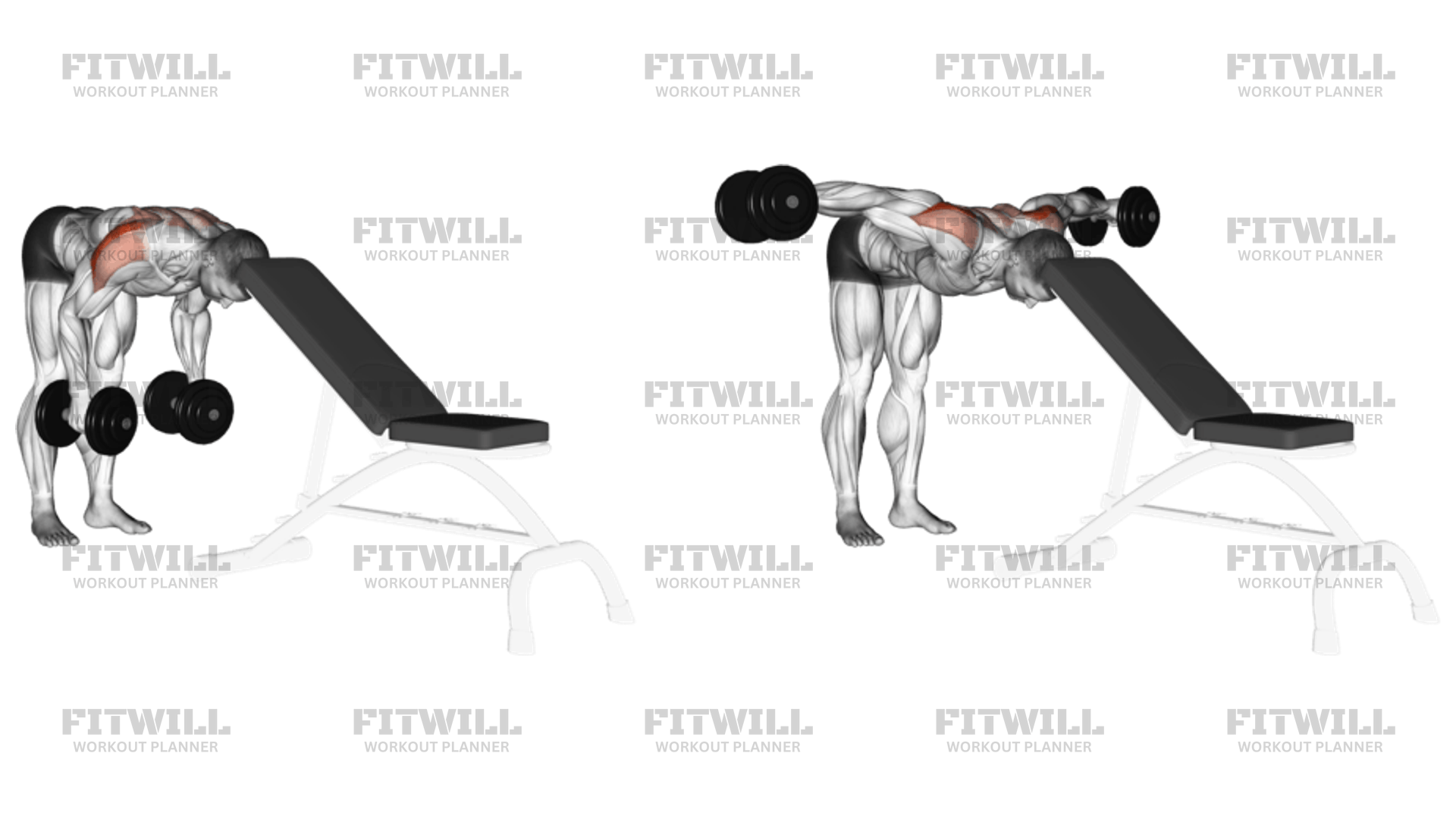Dumbbell Rear Lateral Raise (support Head): Exercise Guide, Video ...