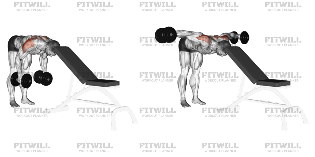 Dumbbell Rear Lateral Raise (support Head): Exercise Guide, Video ...