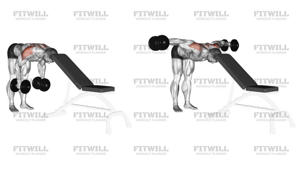 Dumbbell Rear Lateral Raise (support Head): Exercise Guide, Video, Techniques, Benefits, How to ...
