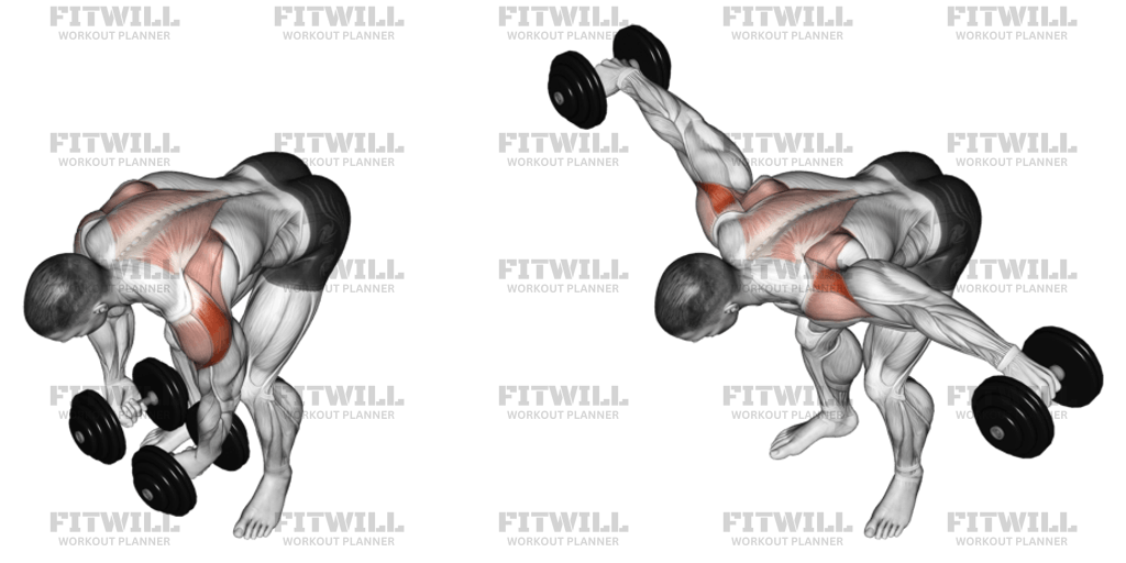 Dumbbell Rear Lateral Raise: Exercise Guide, Video, Techniques, Benefits, How to, Muscles Worked ...