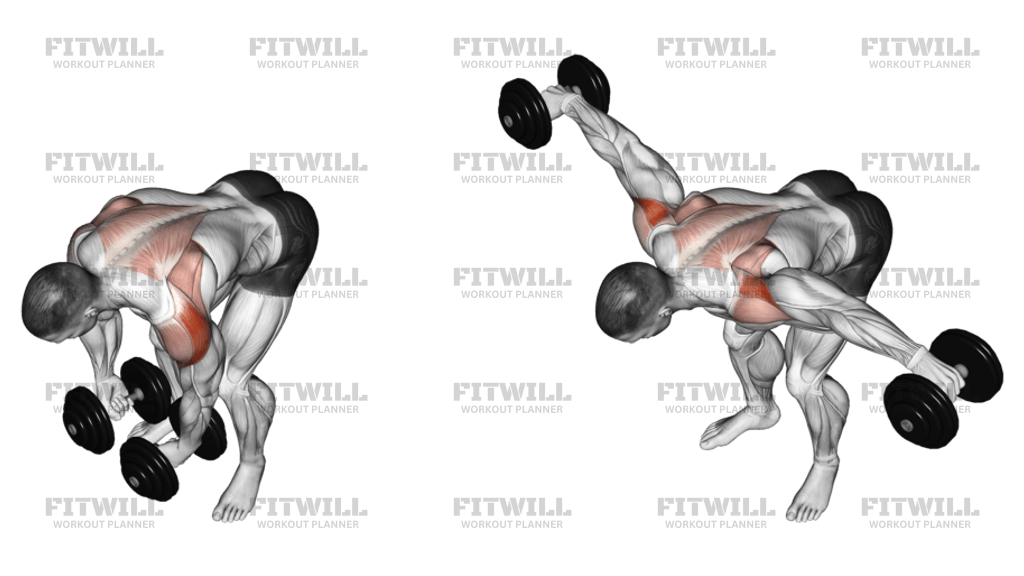Dumbbell Rear Lateral Raise: Exercise Guide, Video, Techniques ...